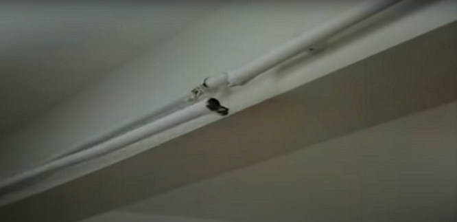 My Personal History Of Horror: How I Became A Horror Fan – Little Bits ...